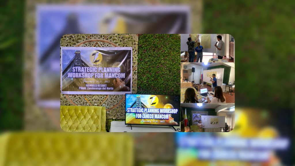 Zaneco Strategic Planning Workshop - The Mentor Group